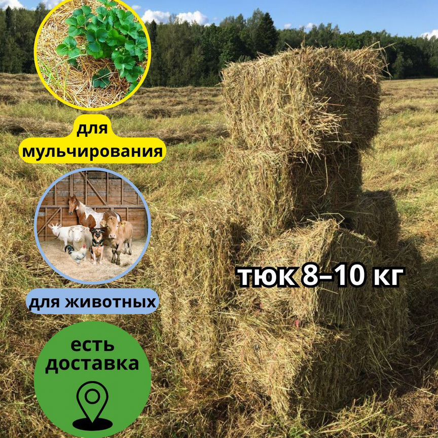 Сено луговое в тюках 8 - 10 кг в наличии в Москве