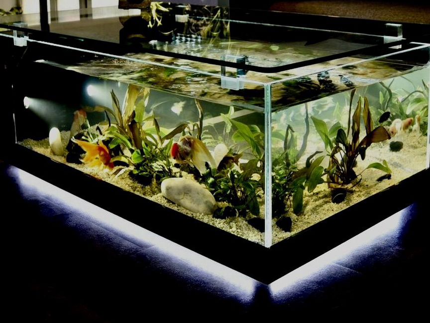 Столы-аквариум