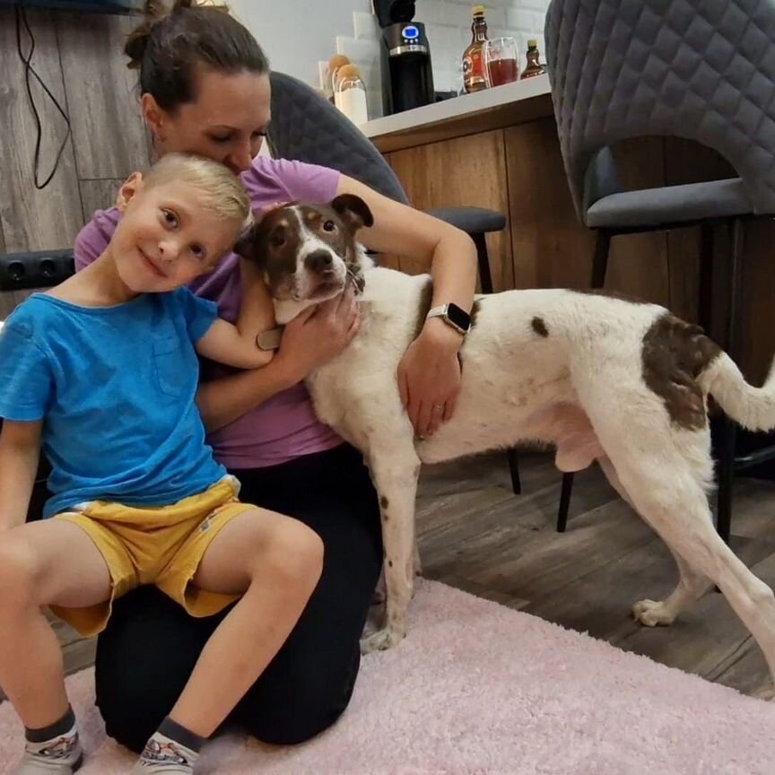 Славный малый в заботливые руки