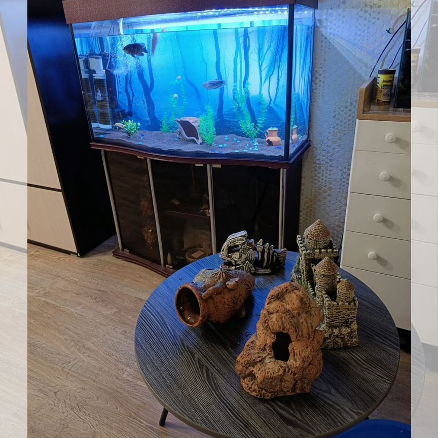 Аквариум с тумбой и рыбками
