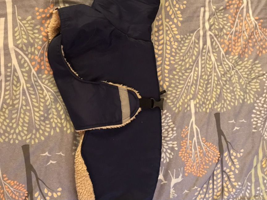 Одежда для средних собак уиппет