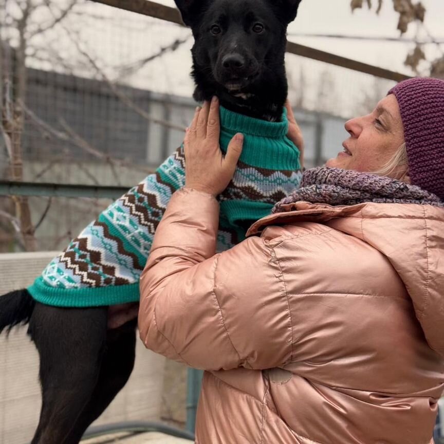 Трюфель не теряет надежду