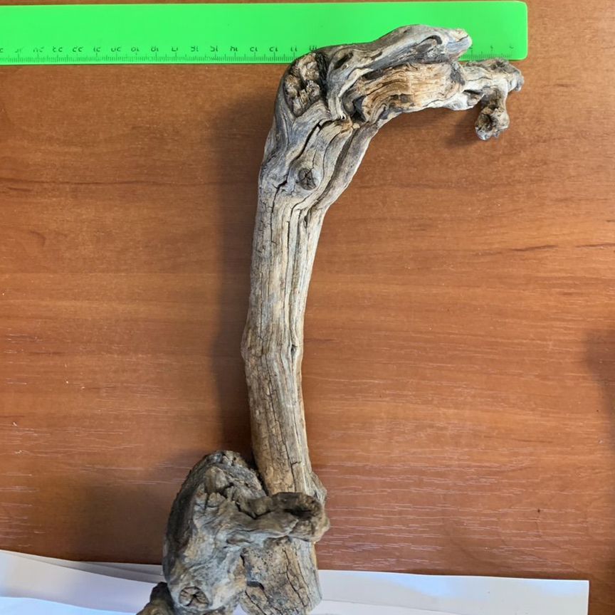 Коряги для террариума