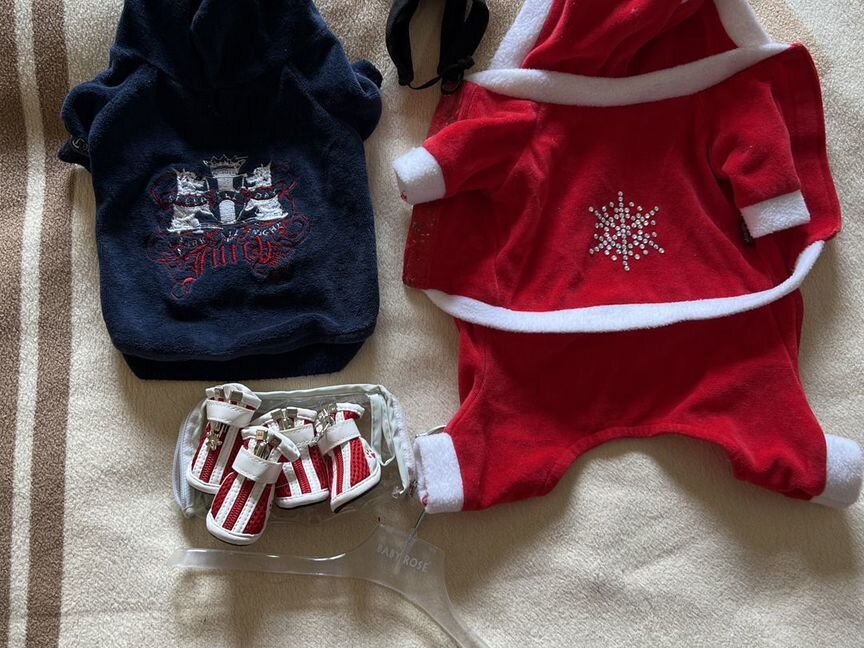 Одежда для мелких собачек