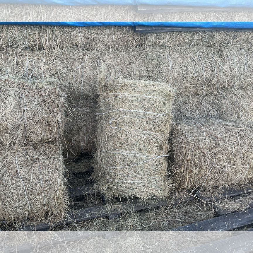 Сено в рулонах