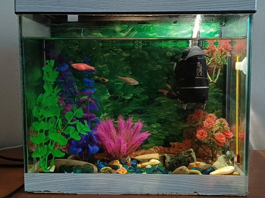 Аквариум