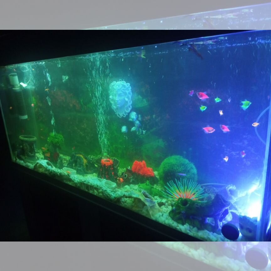 Аквариум с тумбой 350л