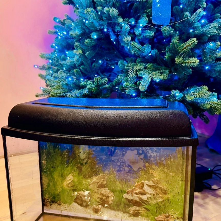 Аквариум 30 литров