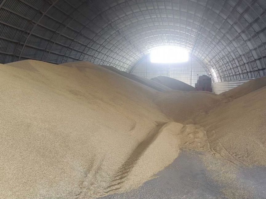 Соя, Соя корма