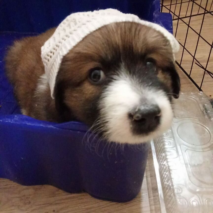 Возьмите меня Я сирота