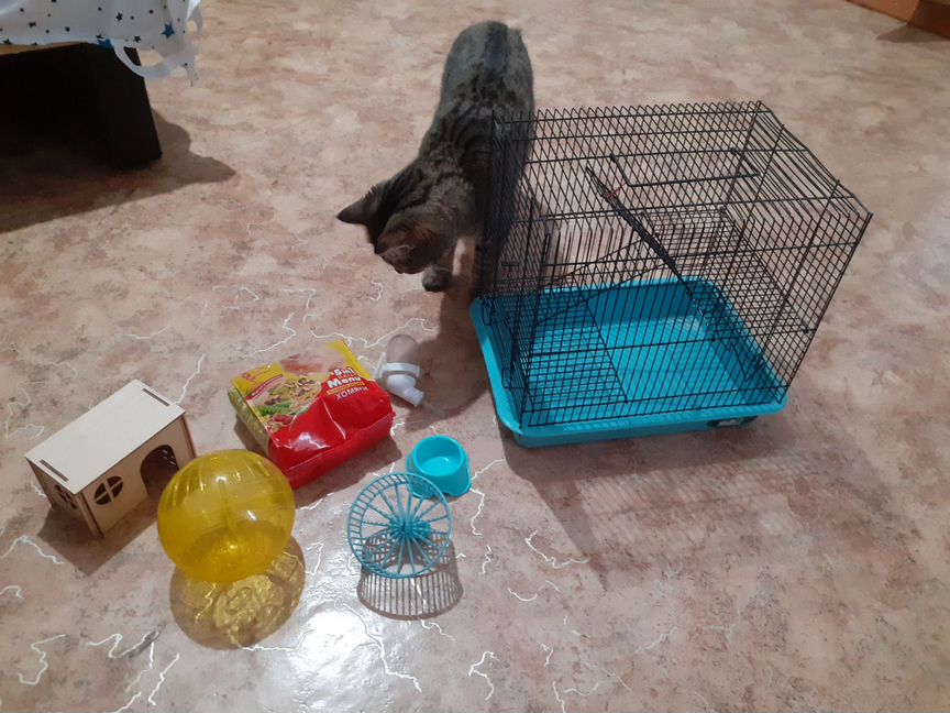 Клетка для хомяка
