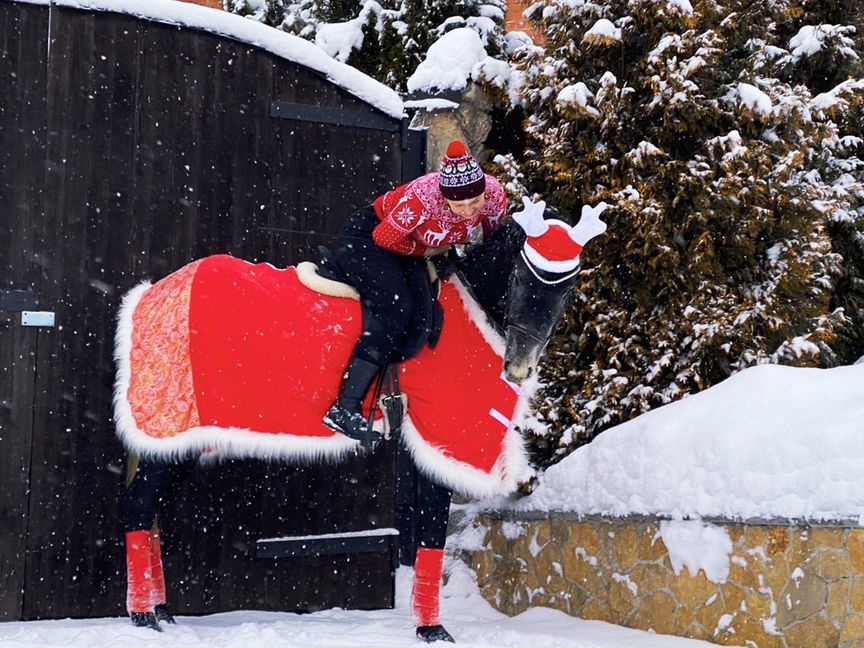Новогодний комплект для лошади и пони