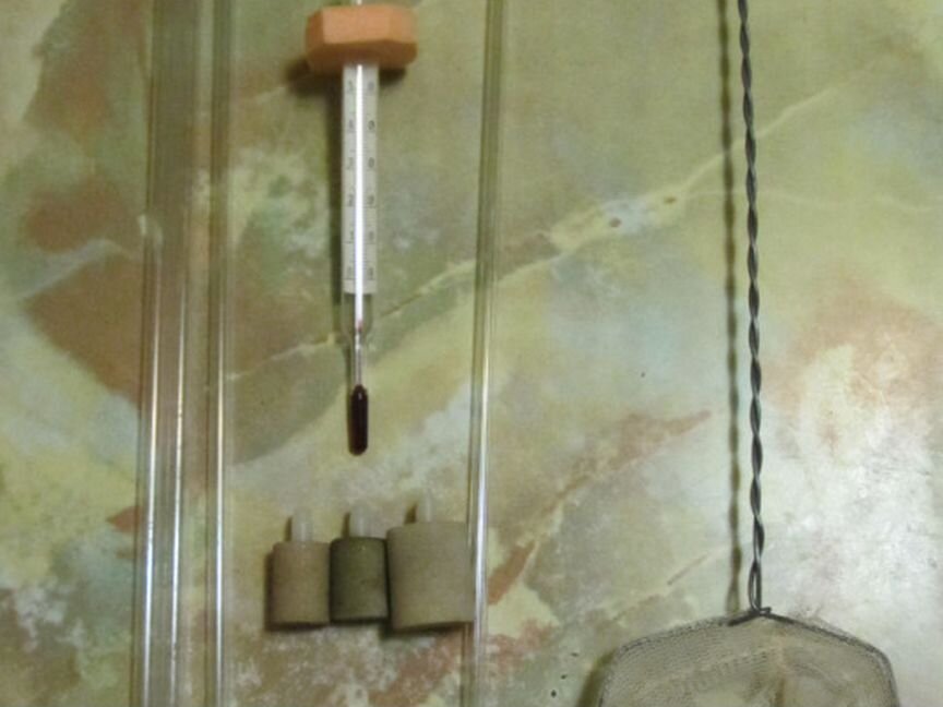 Принадлежности для акквариума