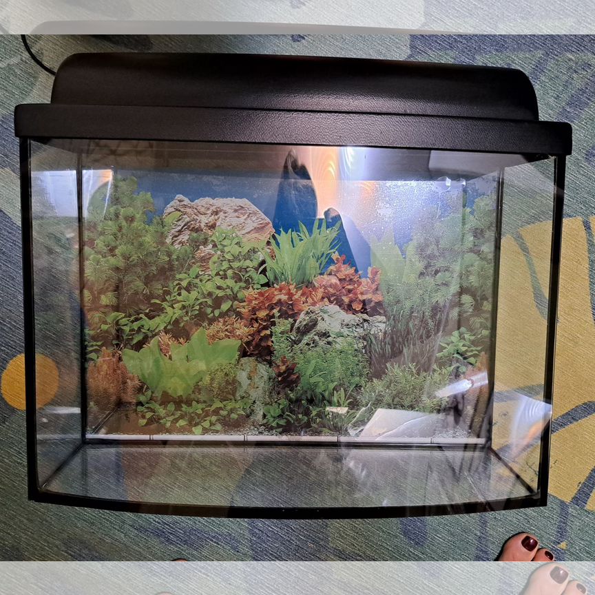 Аквариум и фильтр, (домик керамический и сачек)