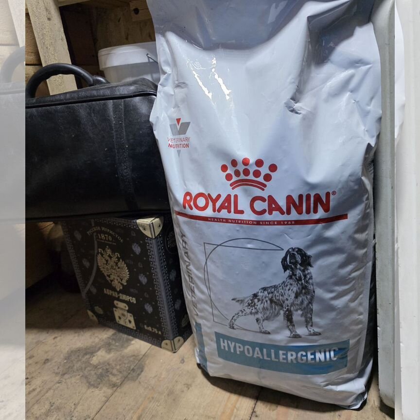 Корм для собак