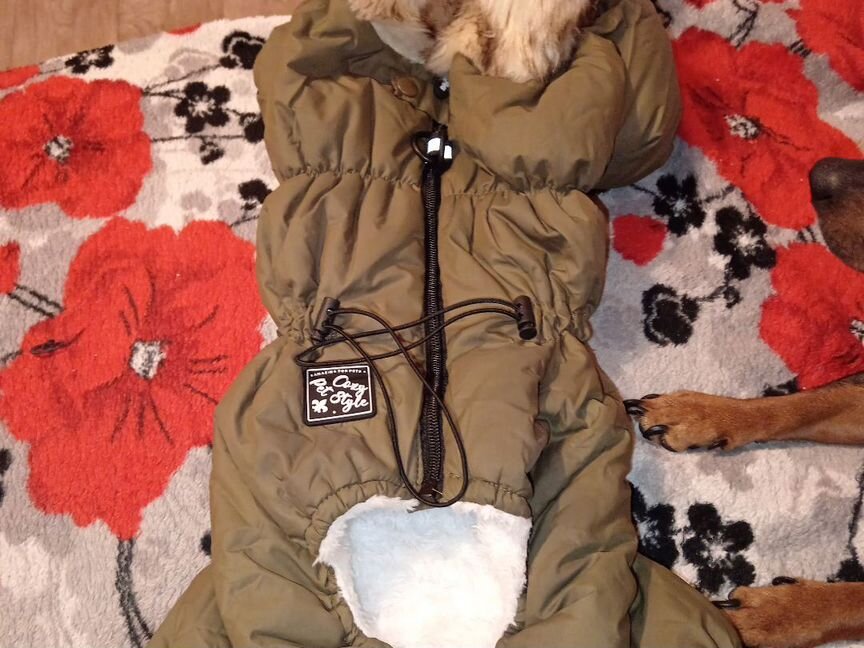 Зимний комбинезон для собаки средних пород