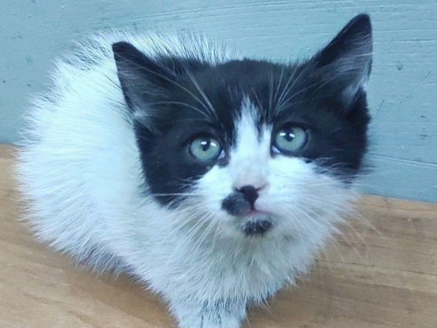 Неужели я кому-нибудь нужен