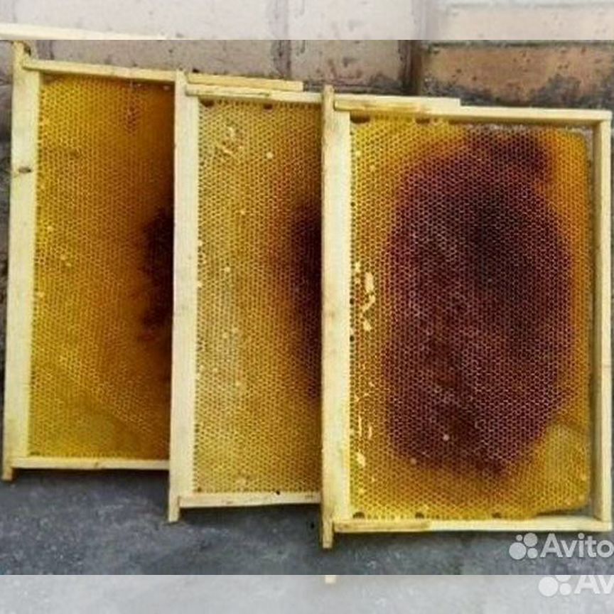 Рамка сушь для пчел