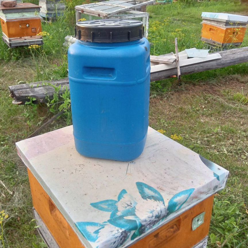 Пчелопакеты карника на 2026 год канск