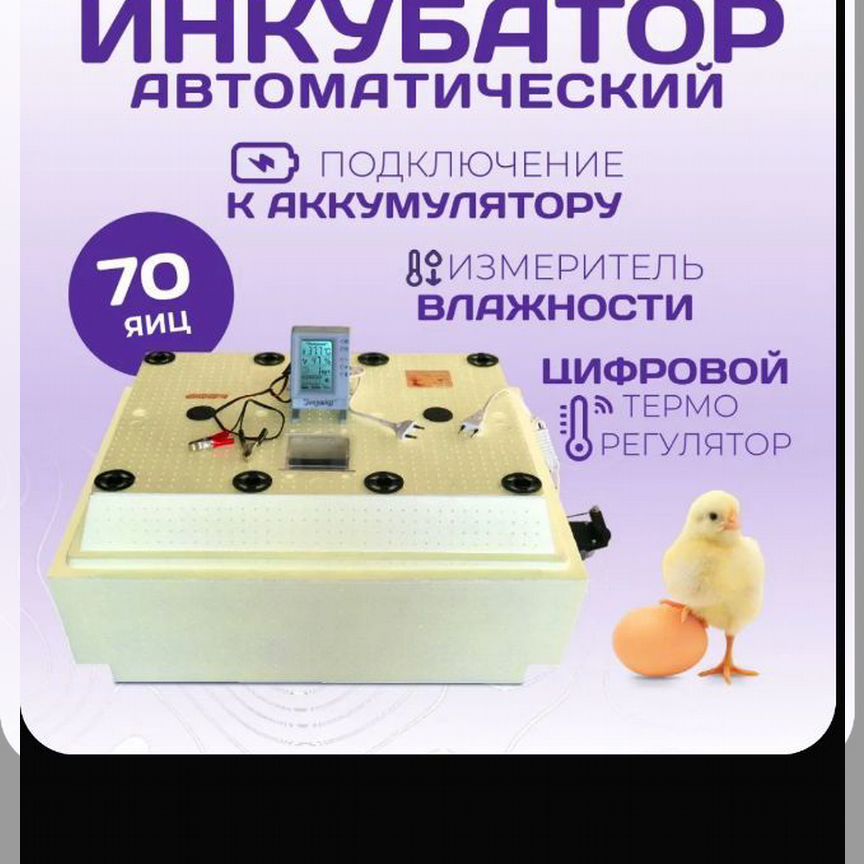 Инкубатор для яиц бу