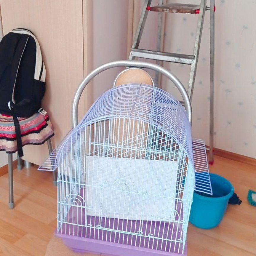 Клетка для попугая