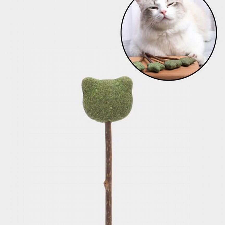Кошачья мята на палочке