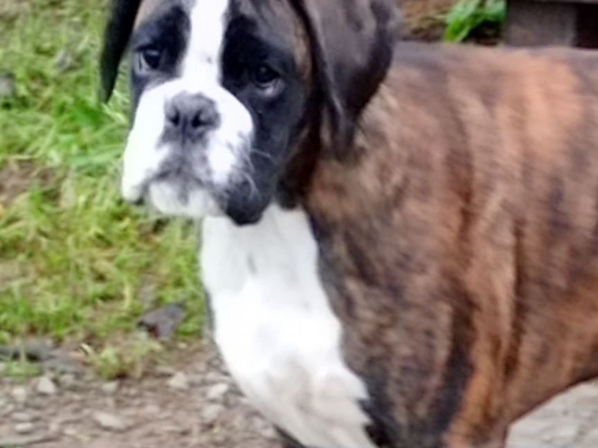 Классная девчонка