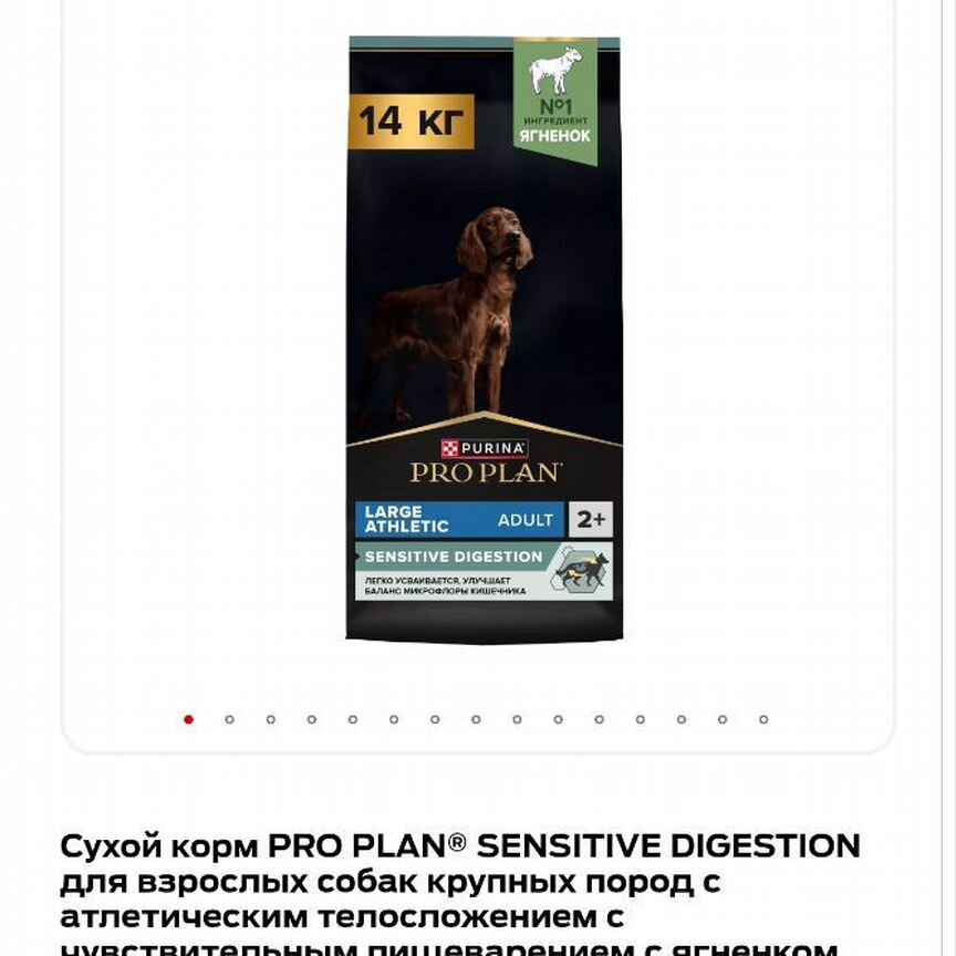 Корм для собак