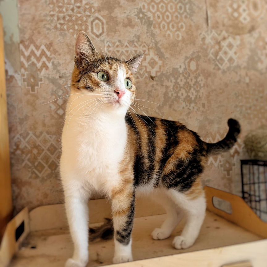 Выбросили в подъезд