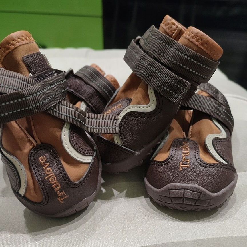 Обувь для собак