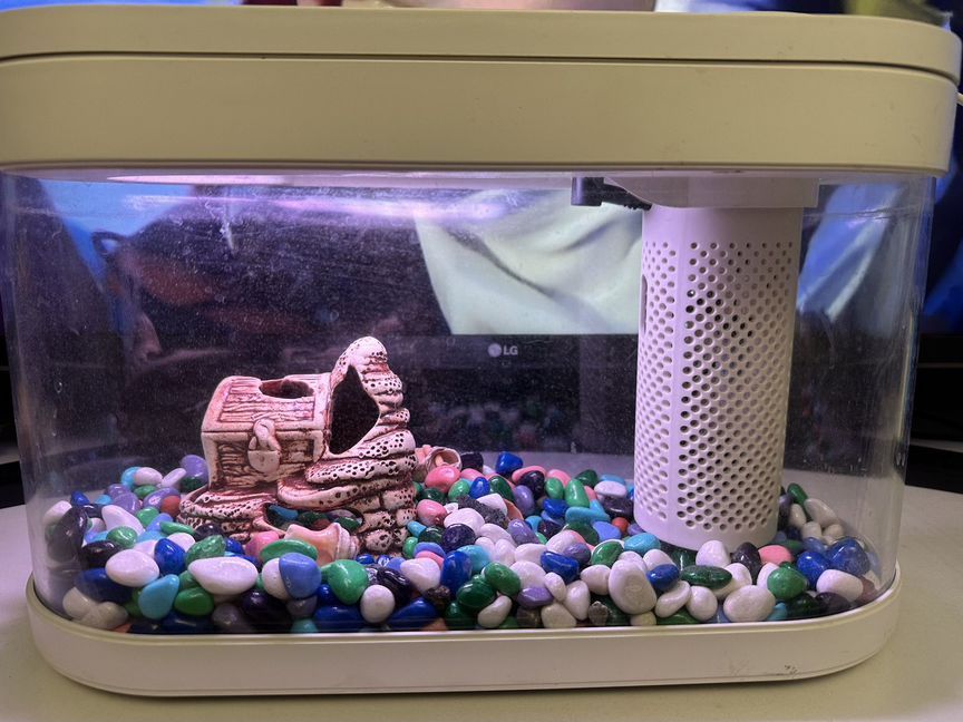 Аквариум xiaomi