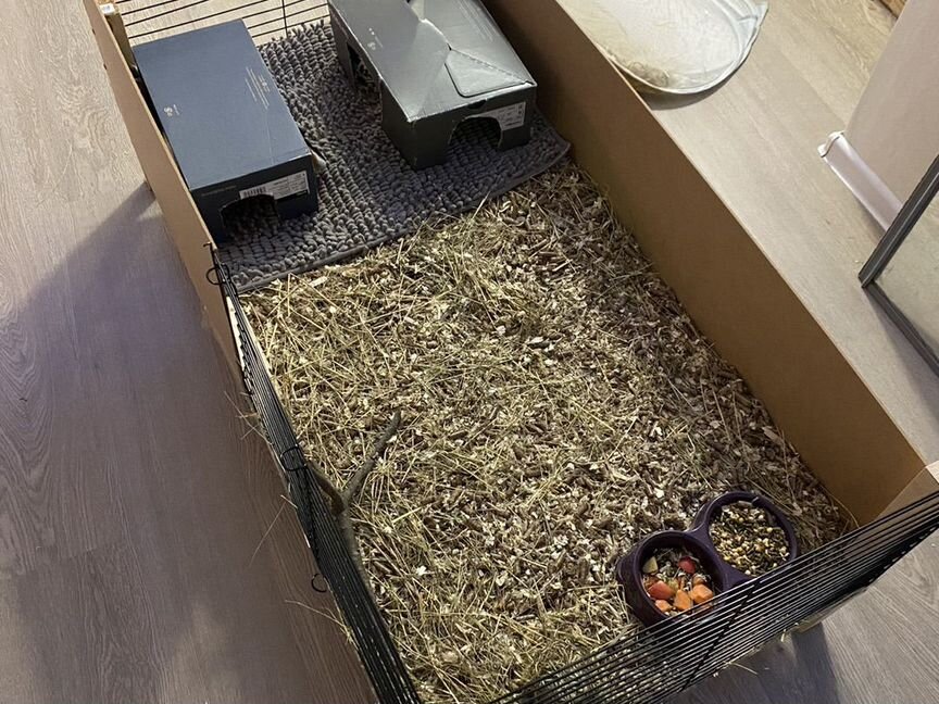 Вольер для морской свинки