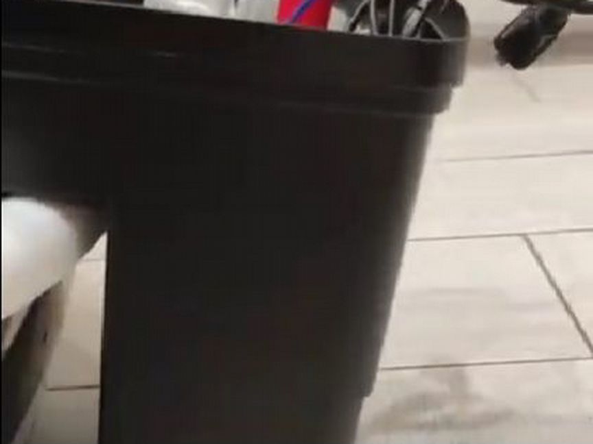 Фильтр рюкзачный Tidal 110, 2000 л/ч для аквариума