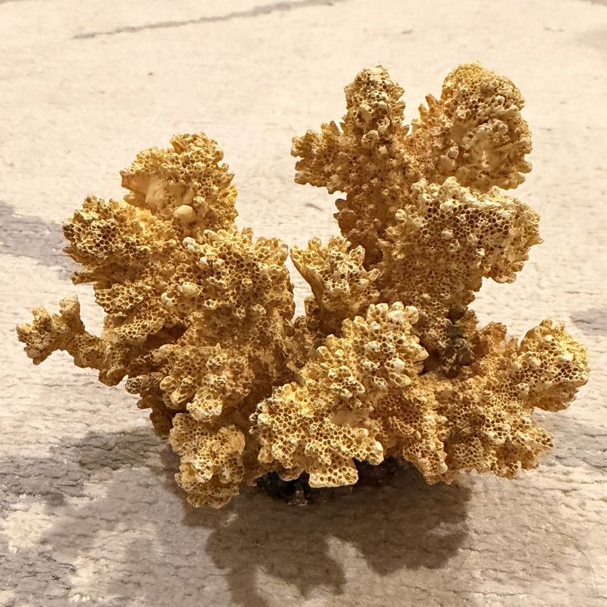 Декорации для аквариума