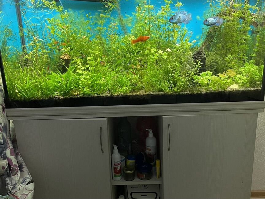 Аквариум под ключ 300 литров