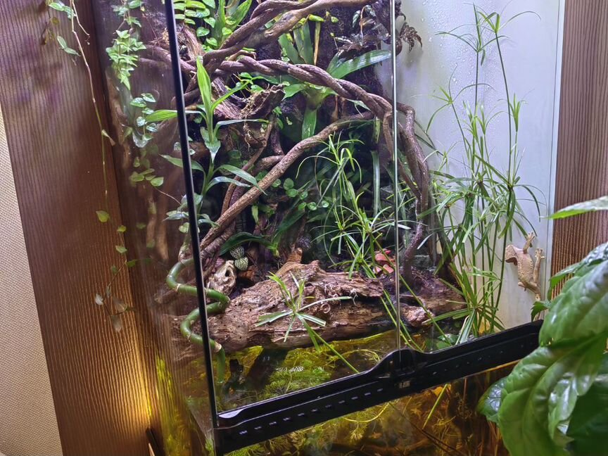 Плюдариум Террариум флорариум с рыбками