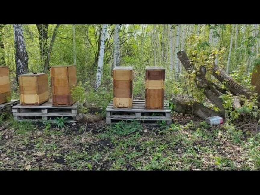 Ульи бу в отличном состоянии