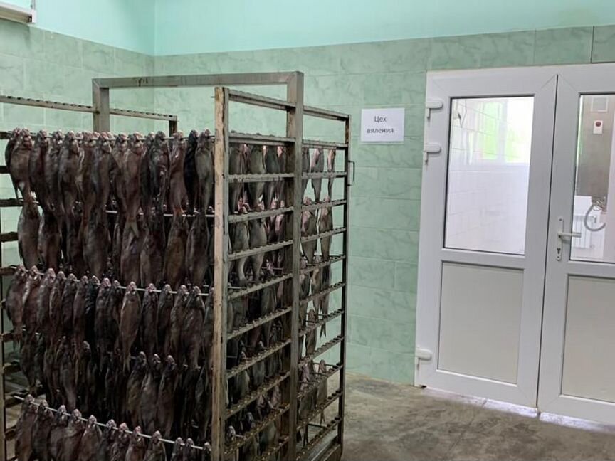 Рыбные отходы бесплатно