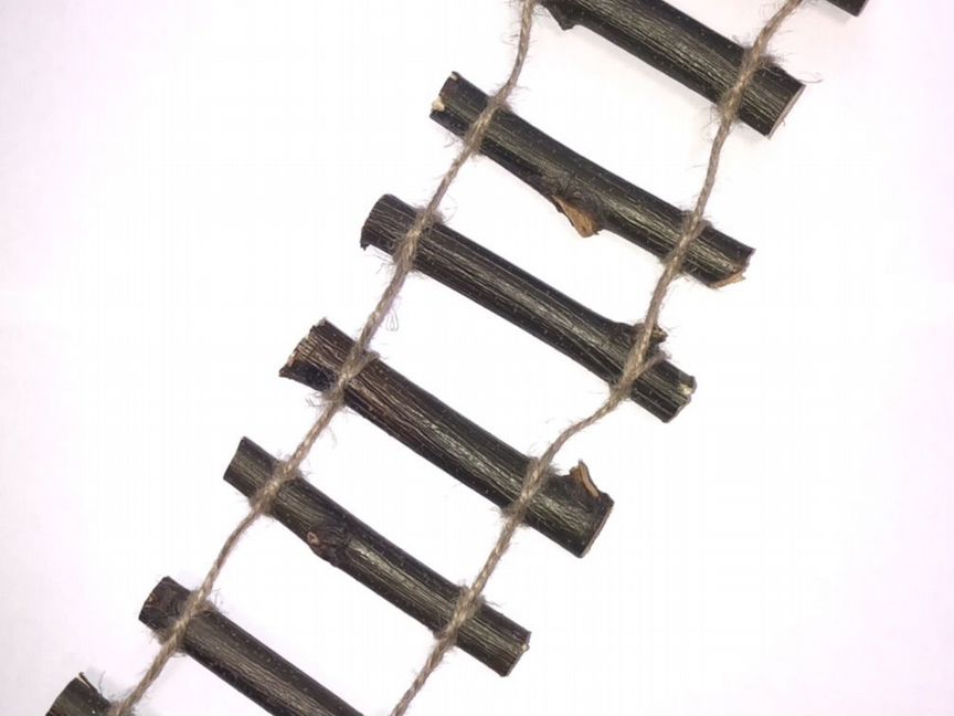 Лесенка для попугаев