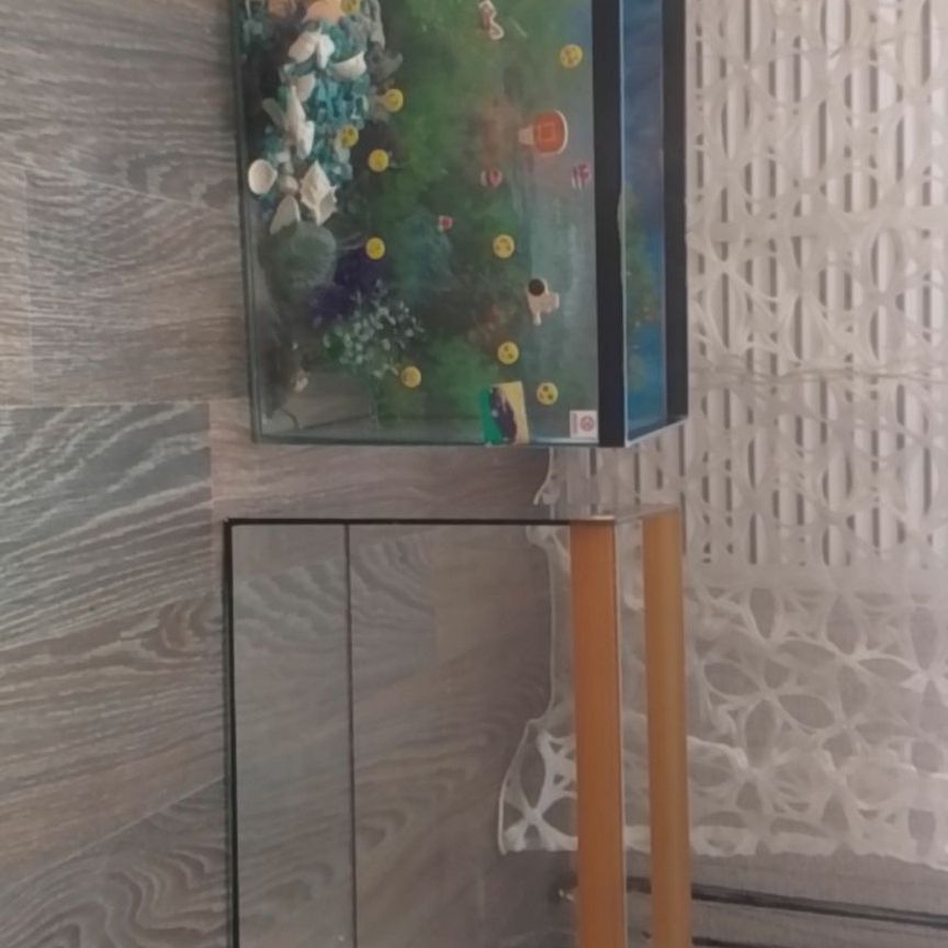 2 аквариума