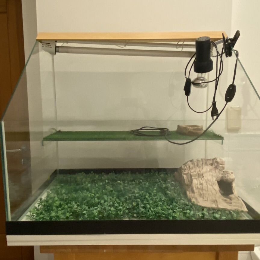 Аквариум для черепахи 100 литров