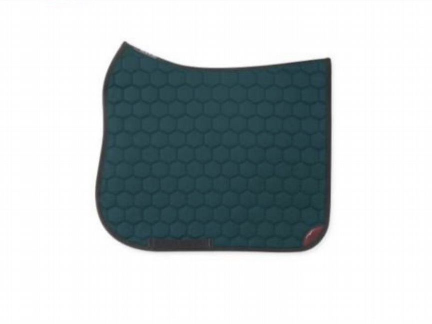 Вальтрап выездковый