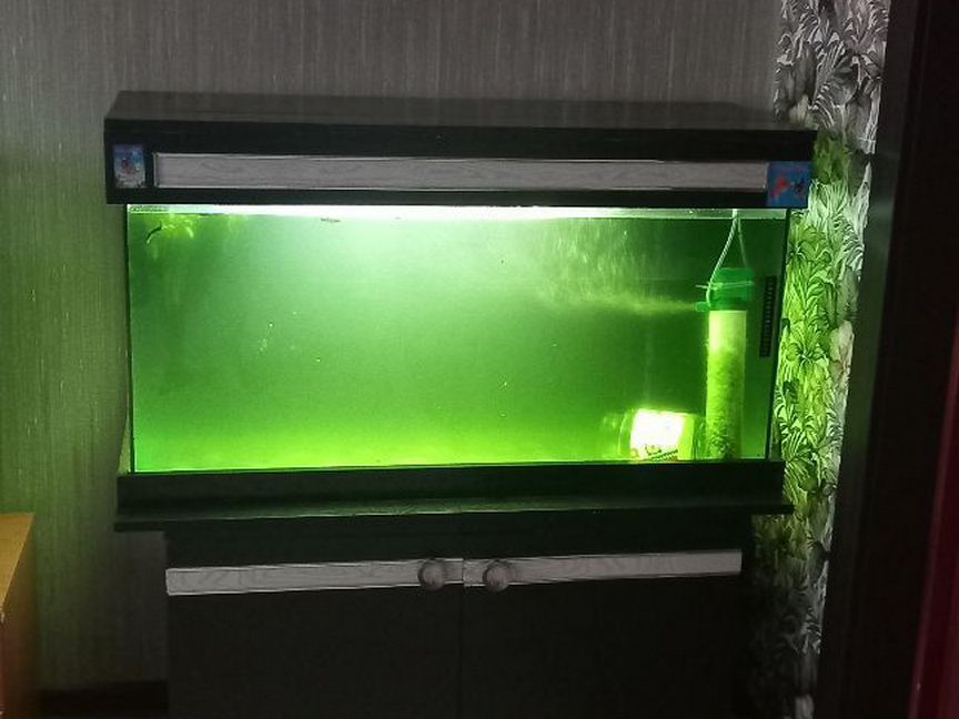 Аквариум с тумбой и крышкой