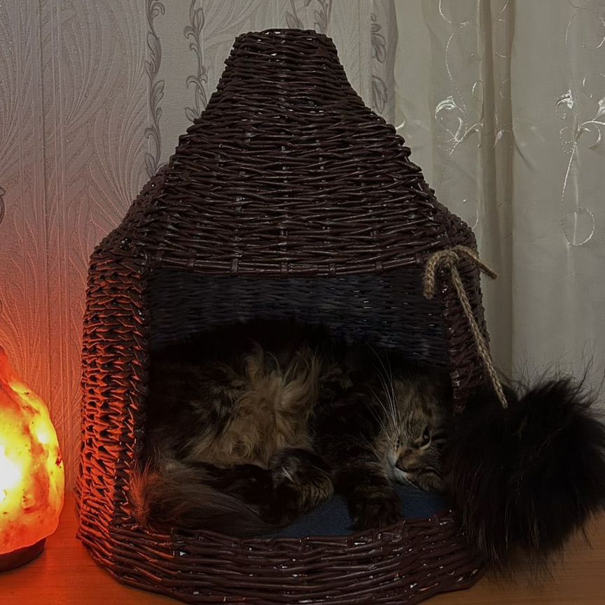 Домик для кошки с когтеточкой