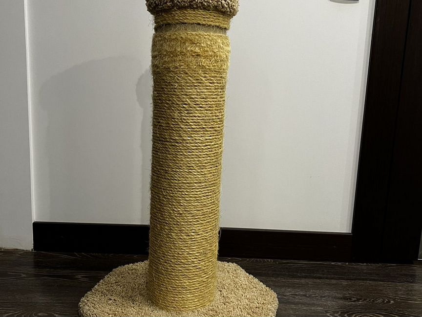 Когтеточка