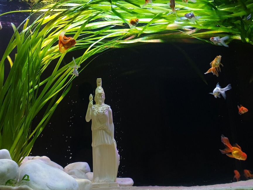 Аквариум 600 литров