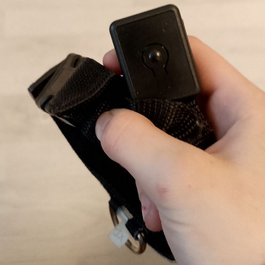 Ошейник для маленькой собаки