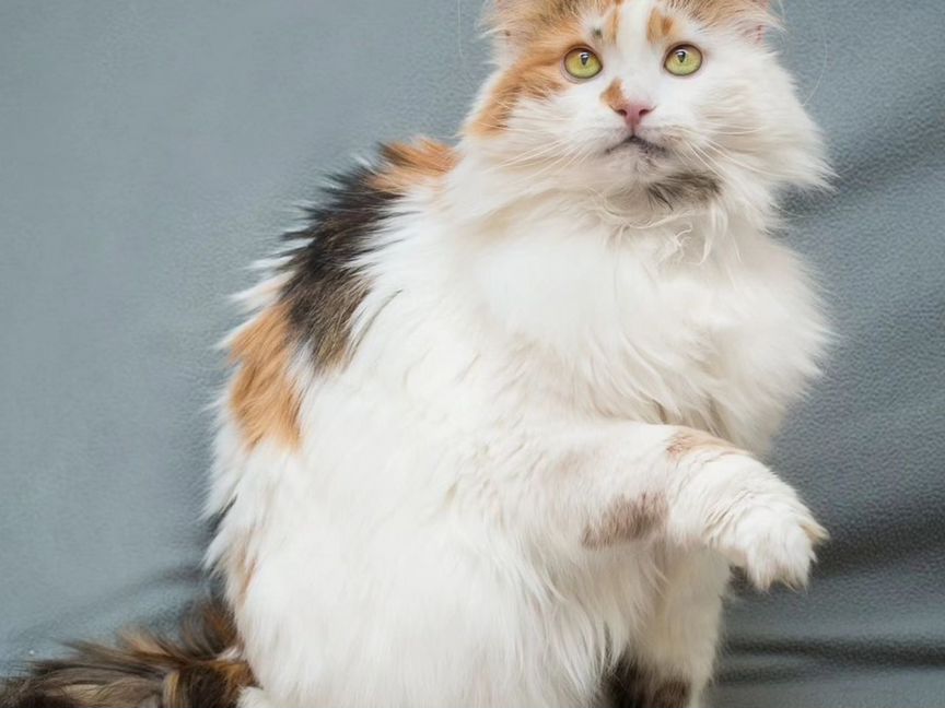 Мусю никто не замечает