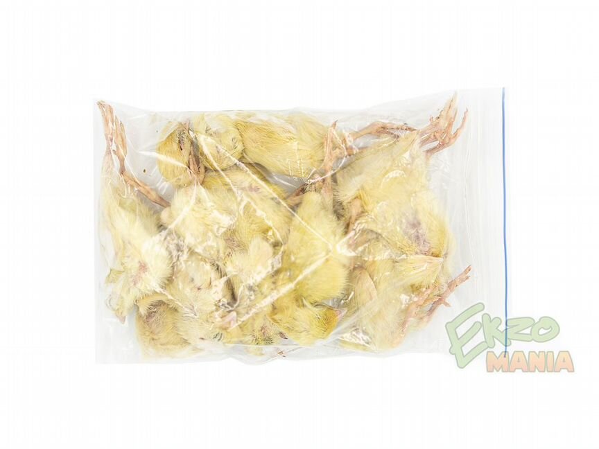 Кормовые суточные цыплята заморозка