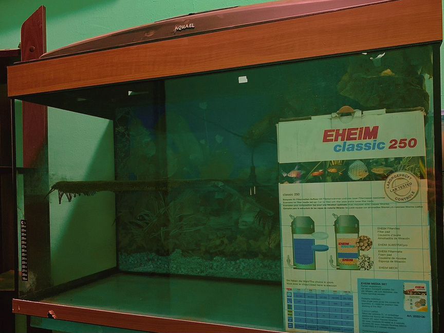 Террариум для черепах, ящериц